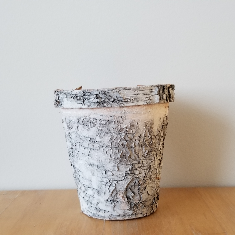Birch Pot 4" with Rim | InteriorPlants.ca