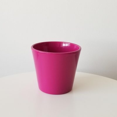 Mandy Ceramic 5" | InteriorPlants.ca