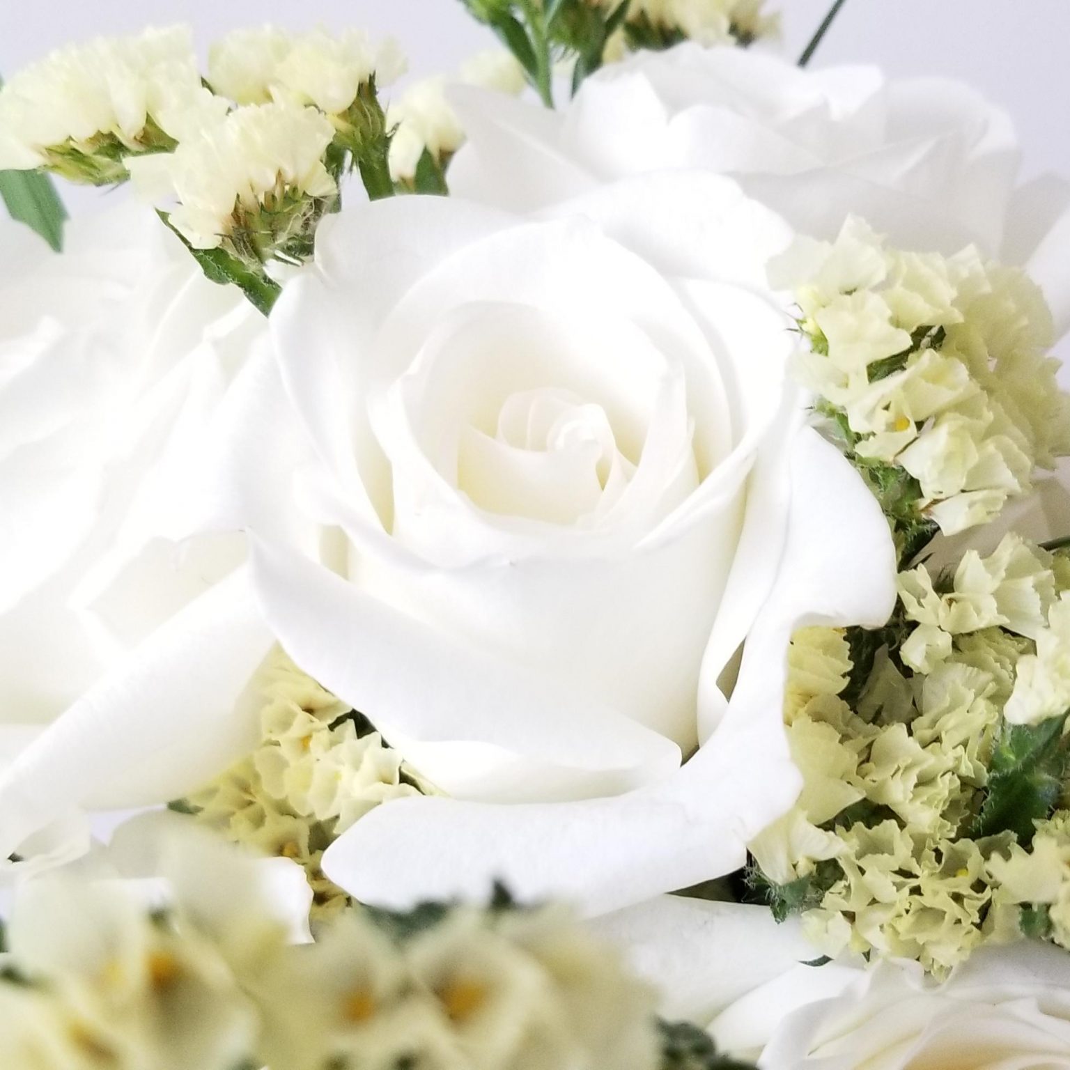 Corporate Floral Program | InteriorPlants.ca