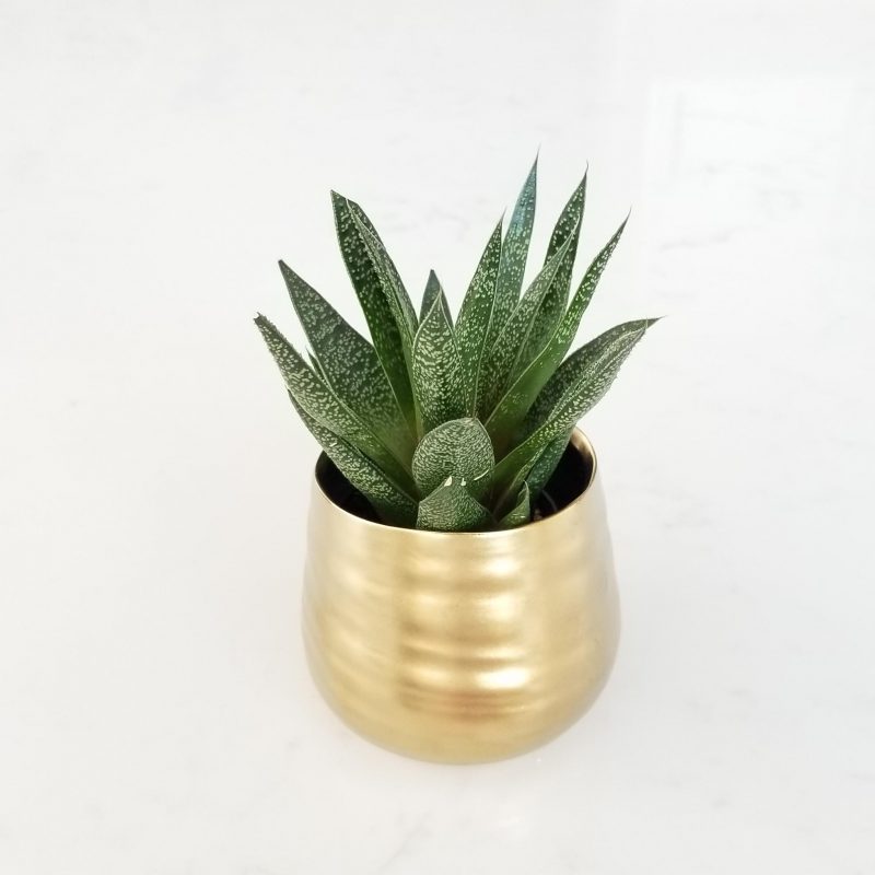 Tegan Deco Metal 2.5" | InteriorPlants.ca