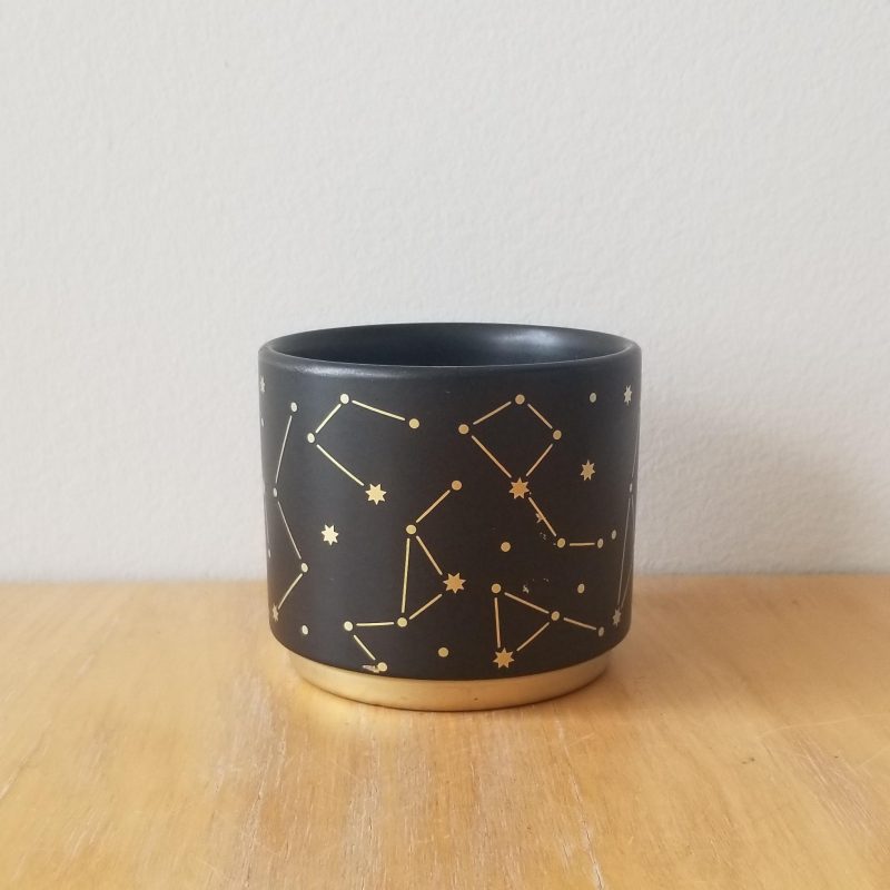 Interior Plants Home | InteriorPlants.ca