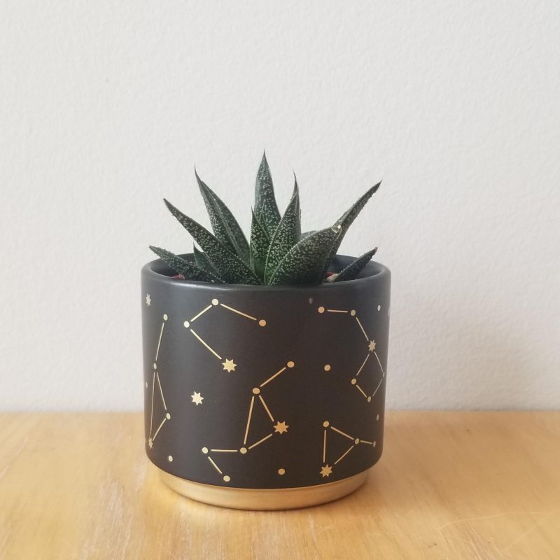 Ceramic Deco Pot 3" | InteriorPlants.ca
